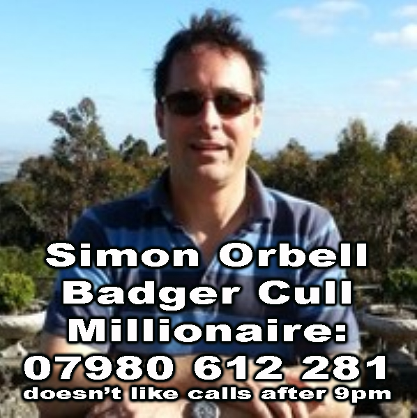 Mr.Orbell gets 1am wake up call. | Innocent Badger